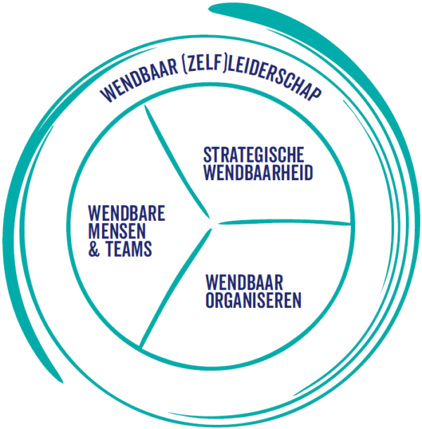 Aanpak wendbaarheid - Moon HRM